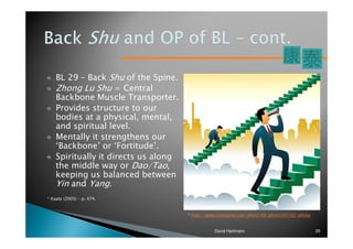 Urinary Bladder Back Shu points discussion | PDF