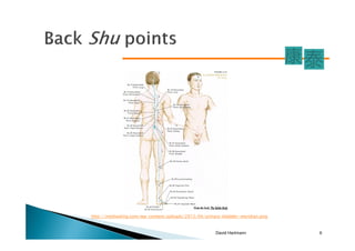 Urinary Bladder Back Shu points discussion | PDF