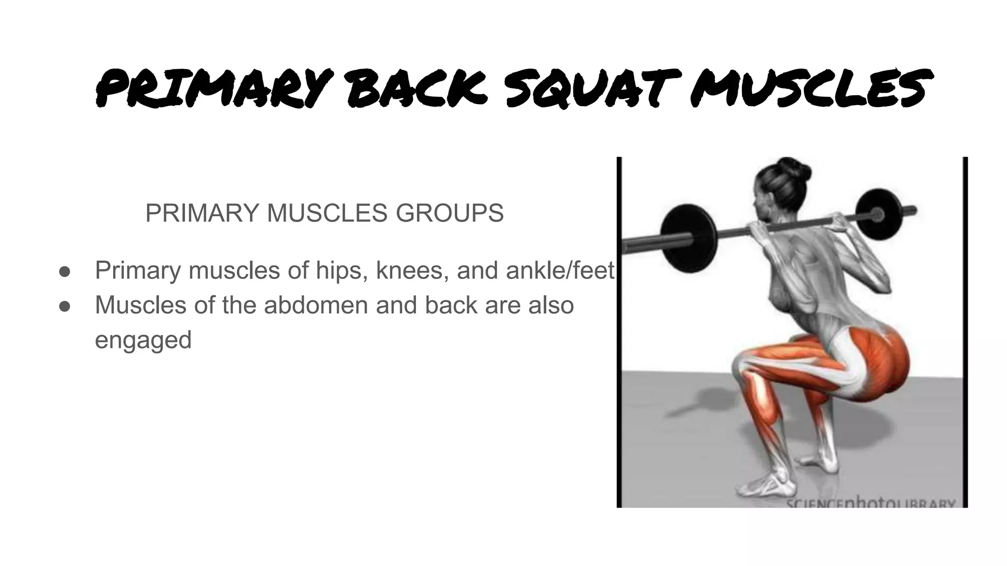 Back Squat | PPT | Free Download