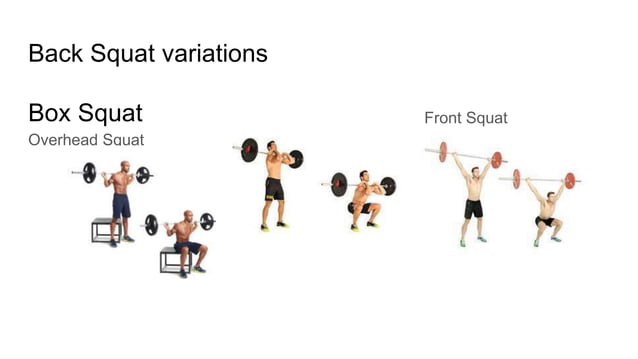 Back Squat | PPT | Free Download