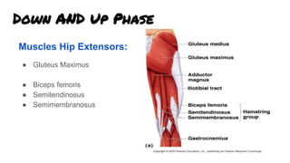 Back Squat | PPT | Free Download