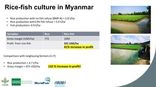 World Water Week: Back to the Future: Integrating rice-fish systems for ...