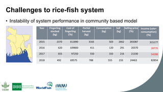 World Water Week: Back to the Future: Integrating rice-fish systems for ...