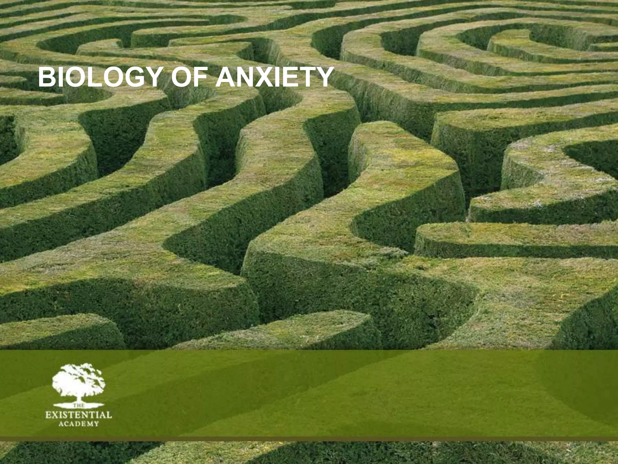 The biology of fear | PPTX