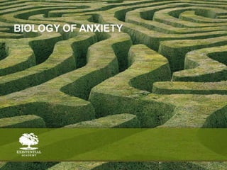 The biology of fear | PPTX