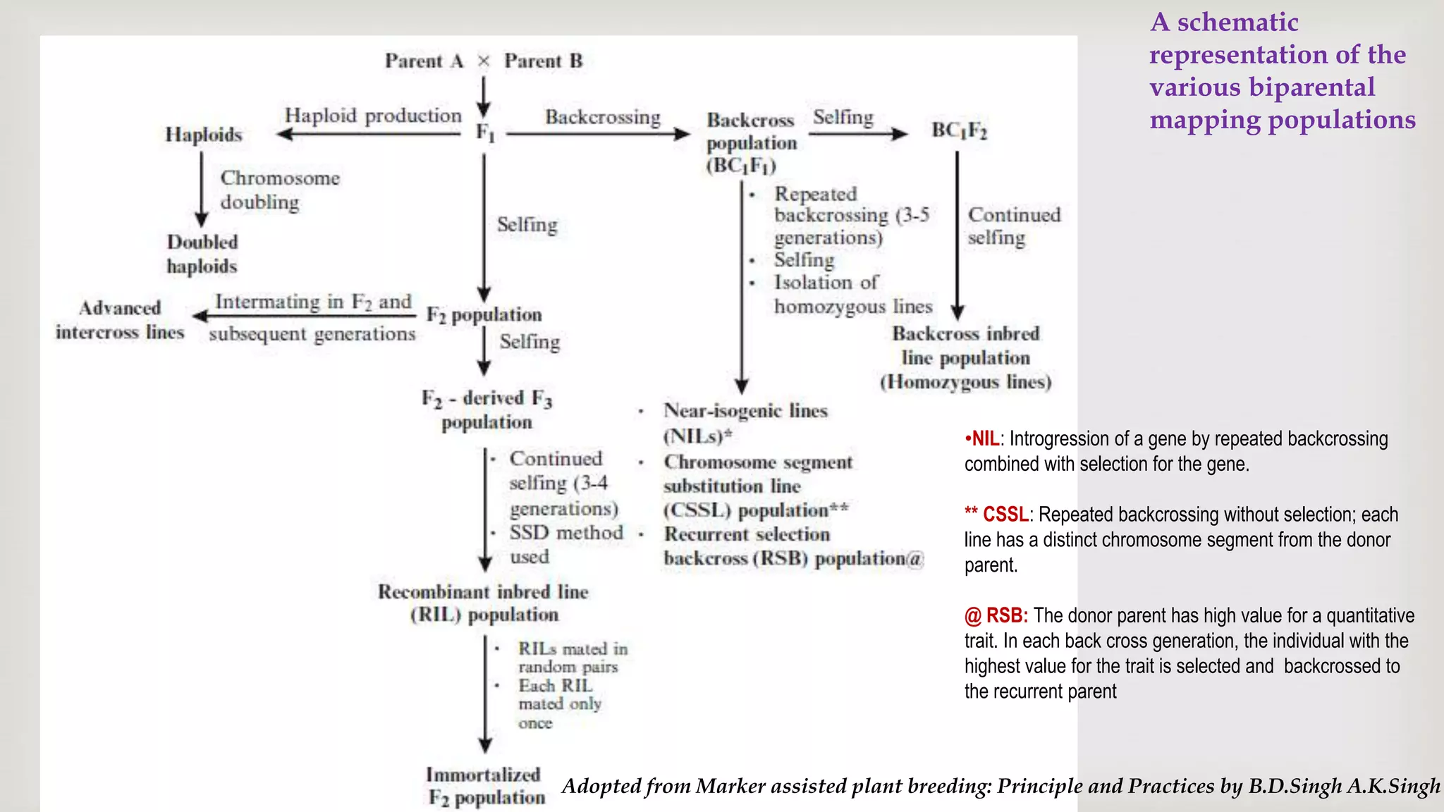 QTL mapping for crop improvement | PPTX