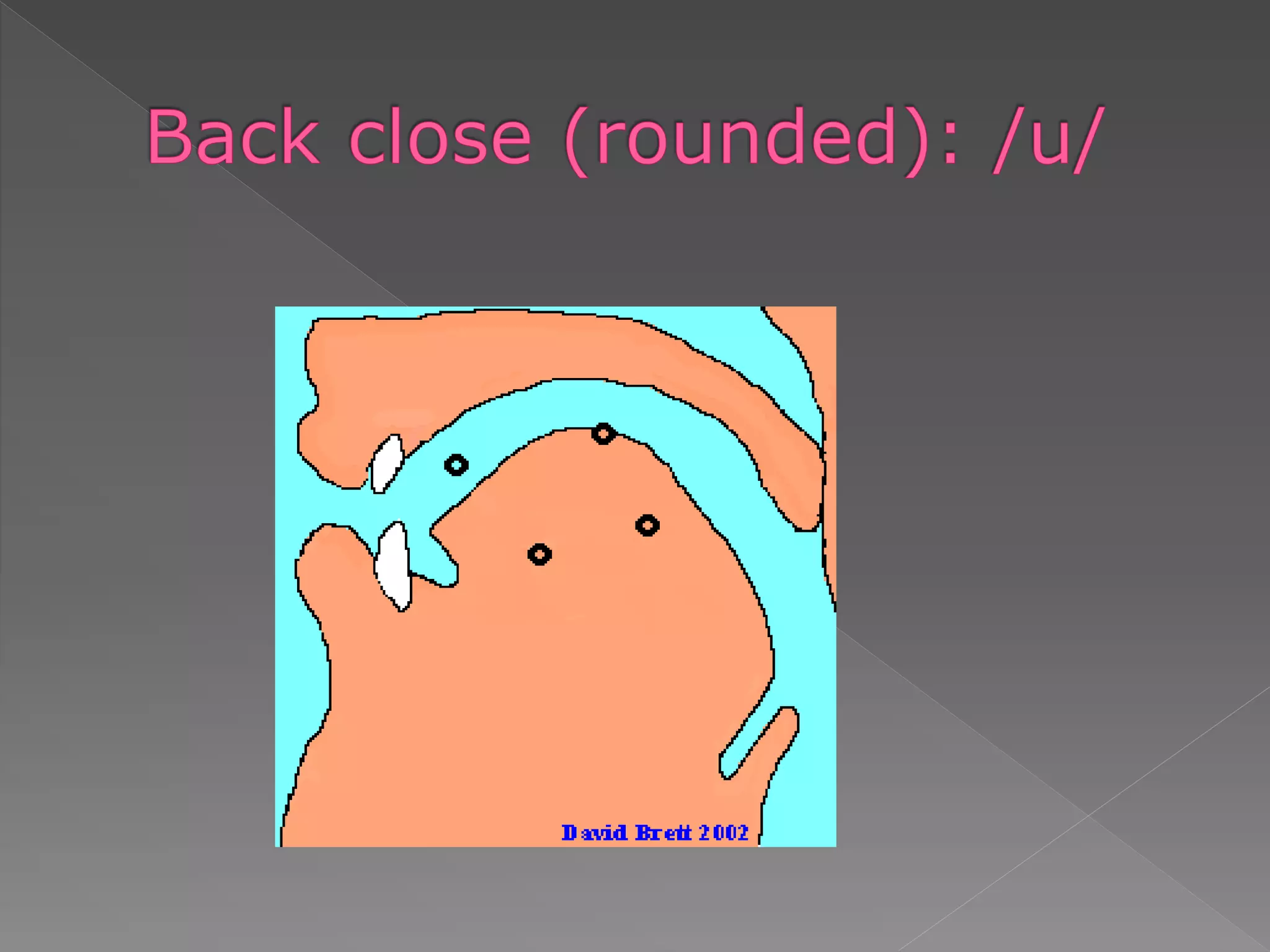 Back vowel sounds | PPTX
