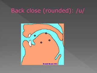 Back vowel sounds | PPTX