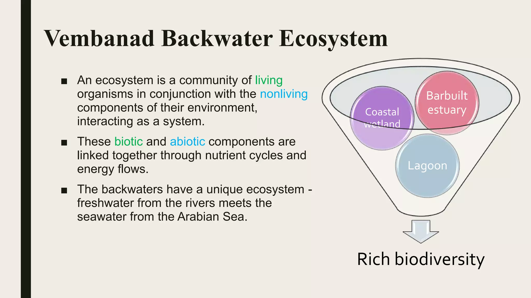 Backwater Ecosystems | PPTX