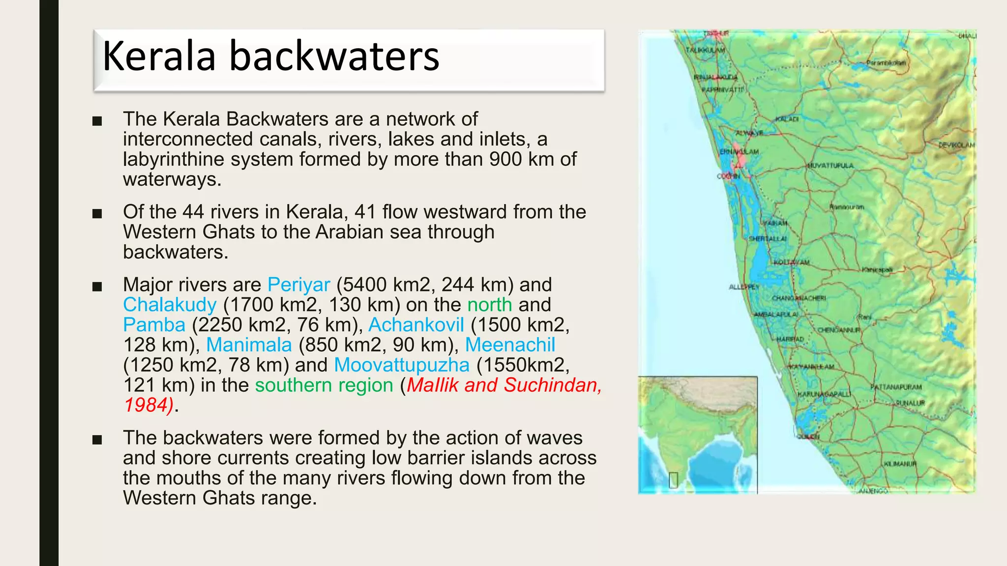 Backwater Ecosystems | PPTX