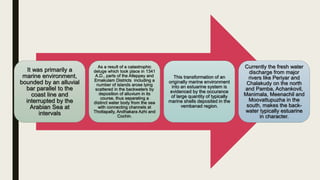 Backwater Ecosystems | PPTX