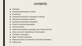 Backwater Ecosystems | PPTX
