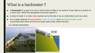 Backwater Ecosystems | PPTX