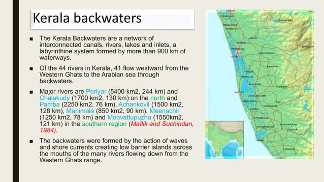 Backwater Ecosystems | PPTX | Canoeing and Kayaking | Extreme Sports