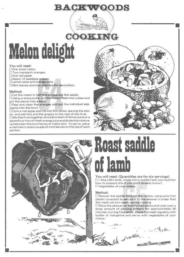 Backwoods cooking | PDF