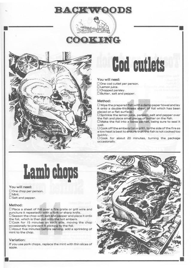 Backwoods cooking | PDF