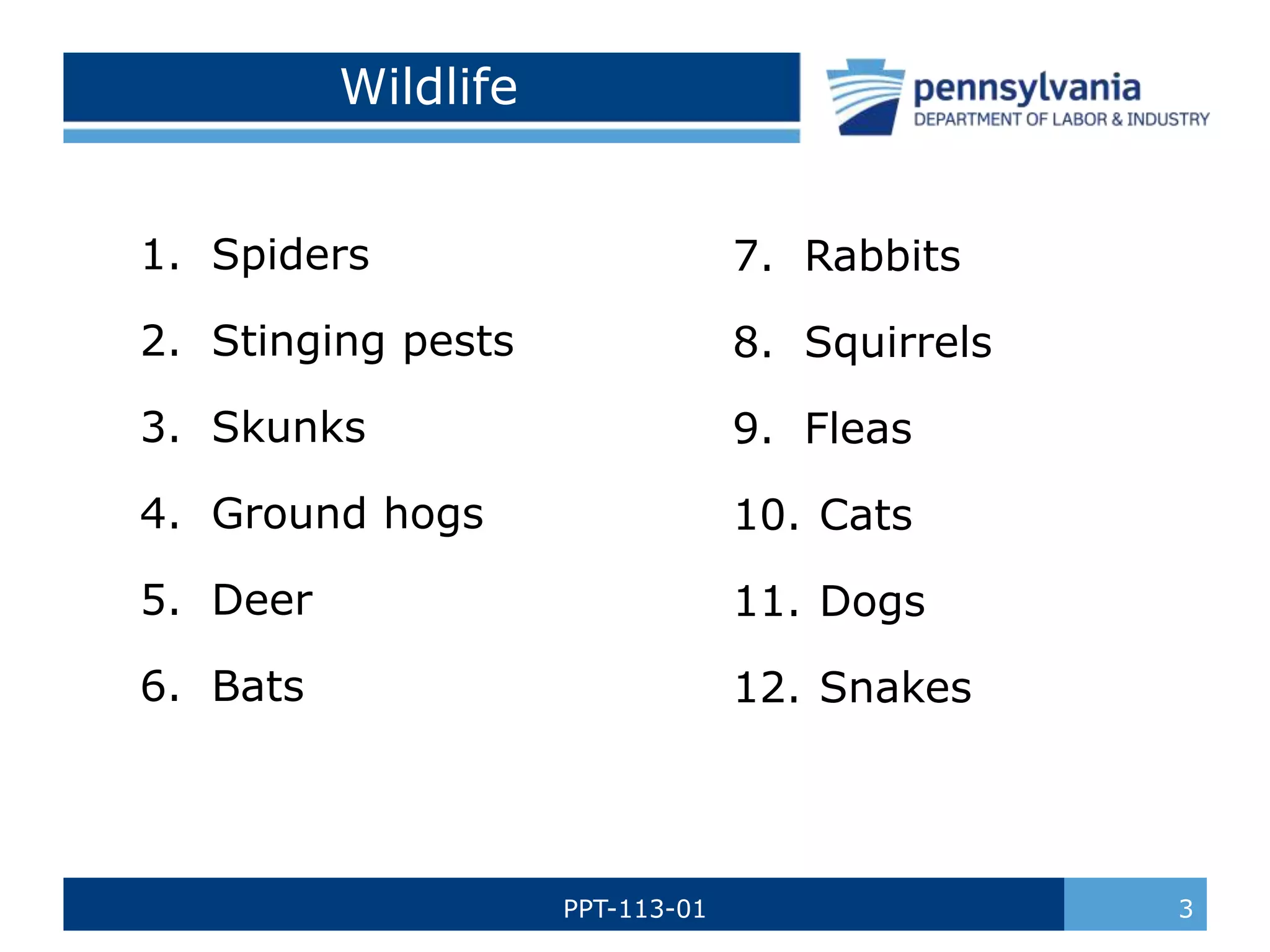 Backyard and Wildlife Safety.pptx