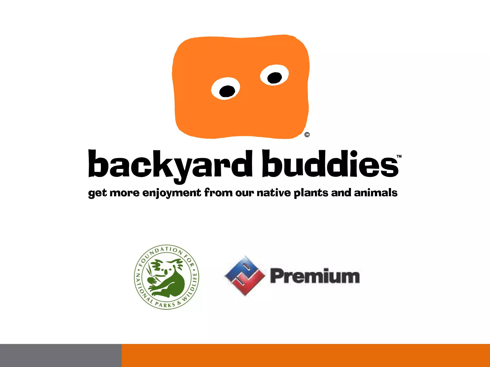 Backyard Buddies - What does it do? | PDF