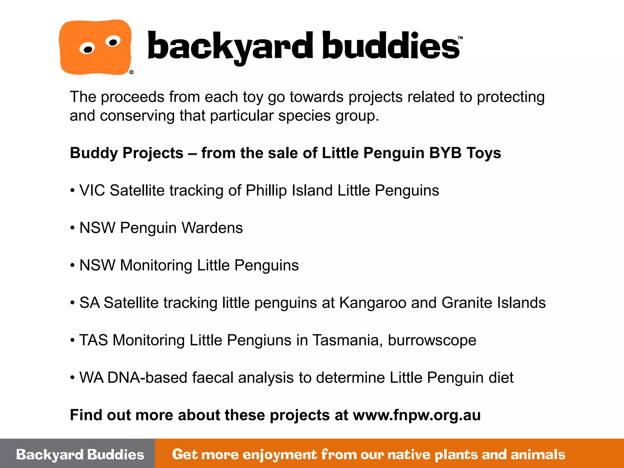 Backyard Buddies - What does it do? | PDF | Birds | Pets