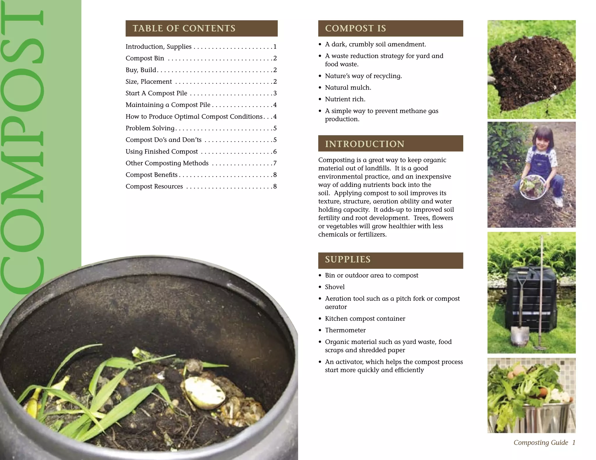 Backyard composting | PDF