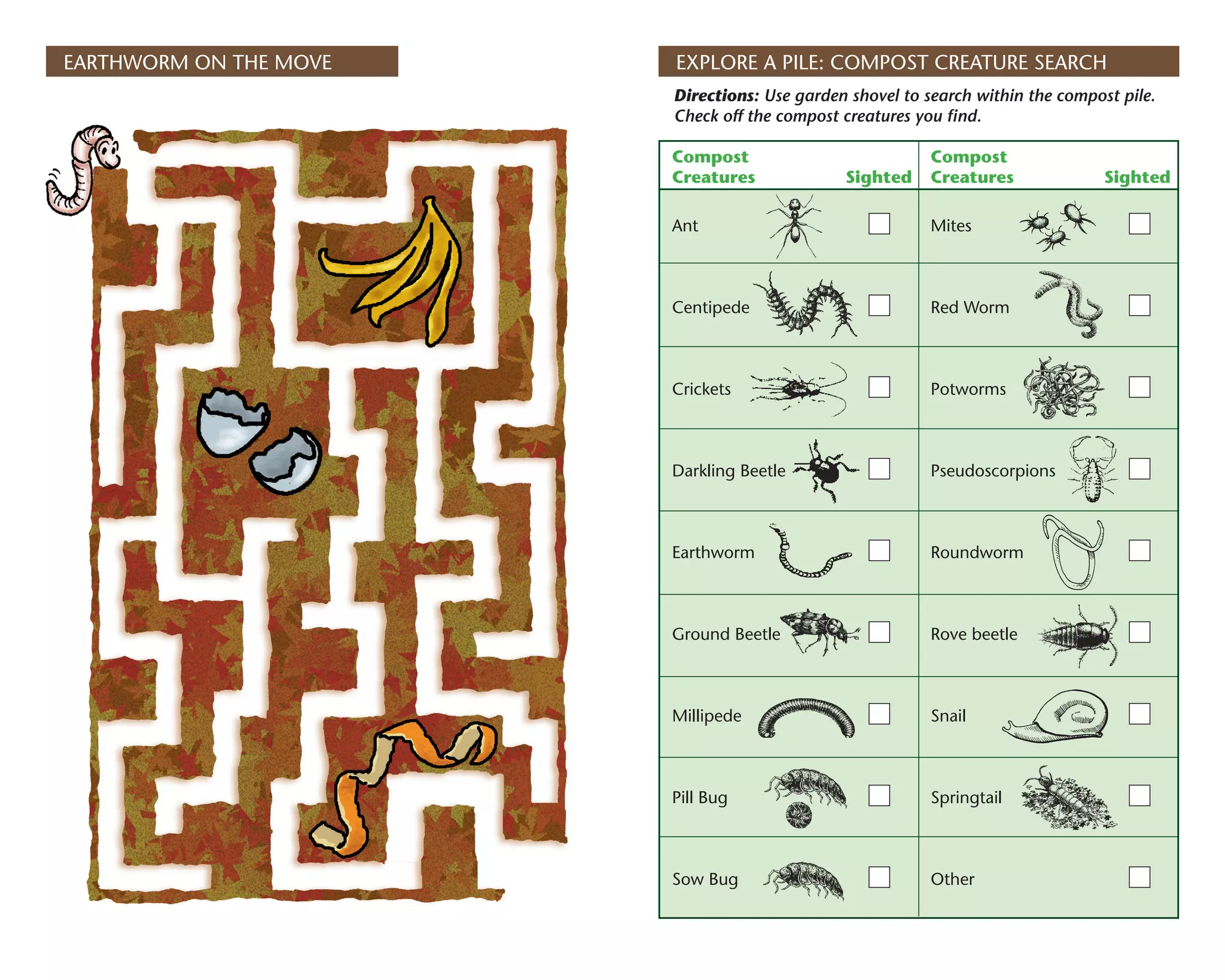 Backyard composting | PDF