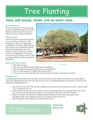 Hawaii Backyard Conservation: Ideas for Every Homeowner | PDF