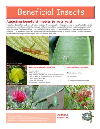 Hawaii Backyard Conservation: Ideas for Every Homeowner | PDF
