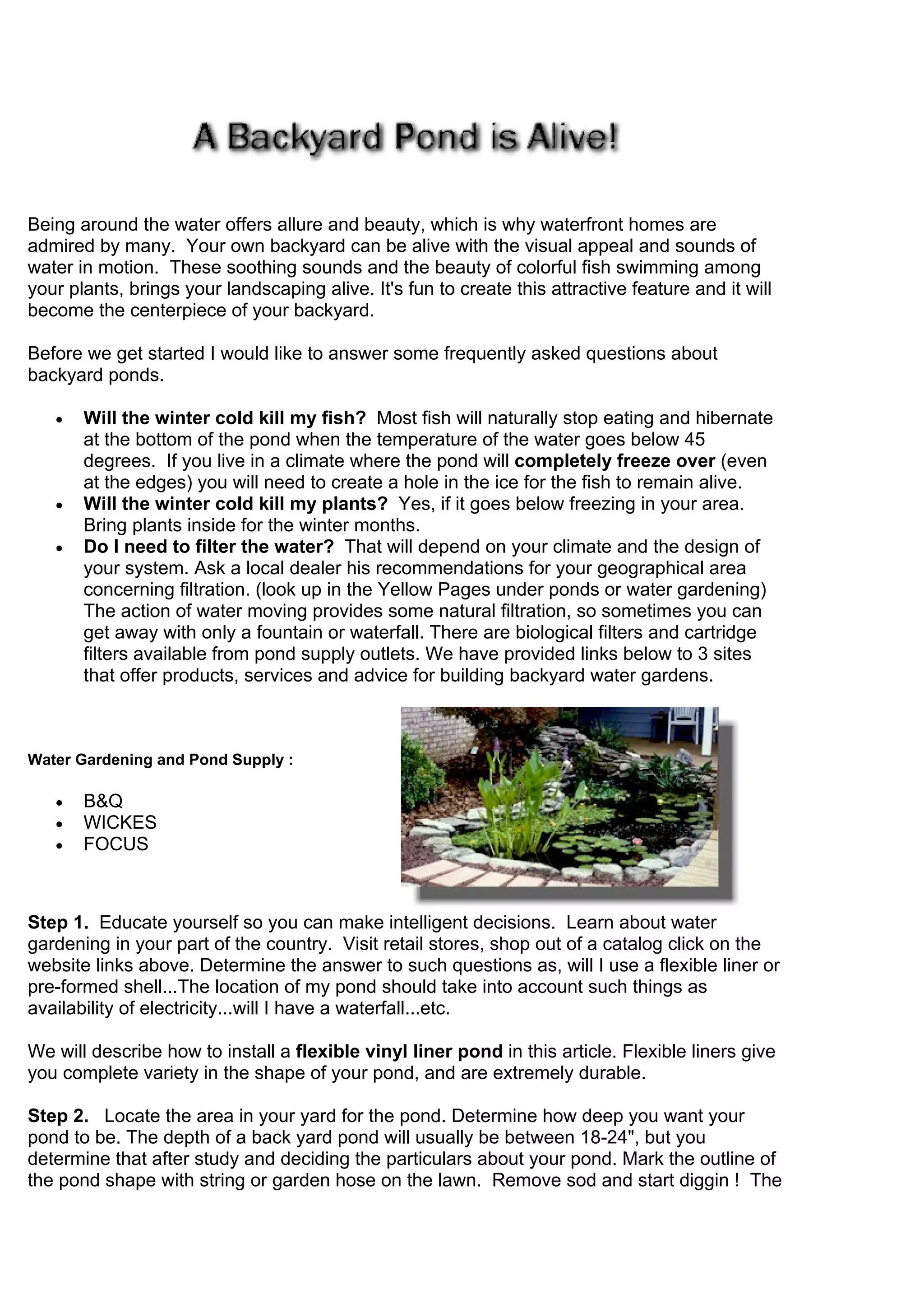 Backyard pond | PDF