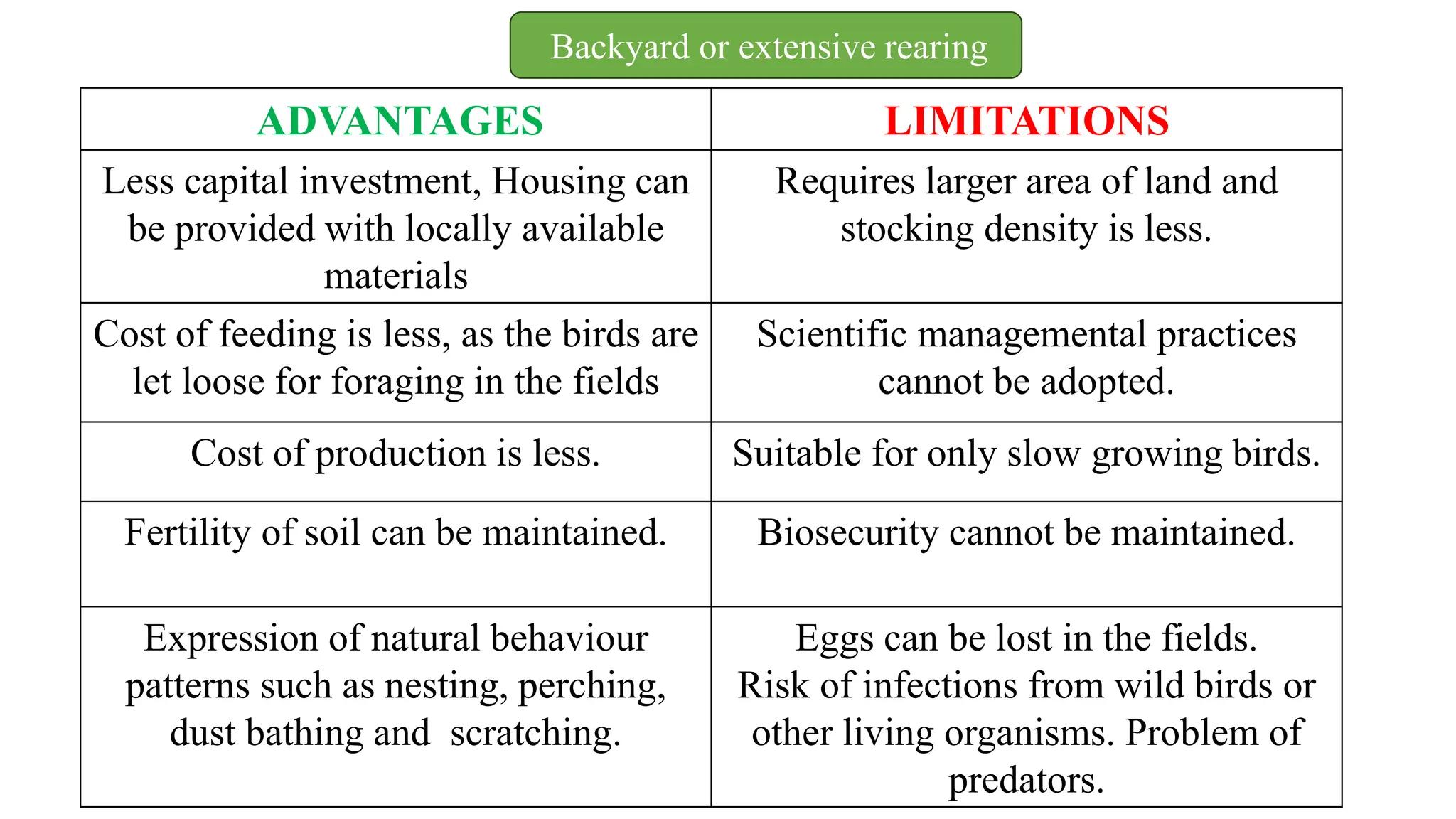 Backyard & semi intensive rearing of Poultry.pptx
