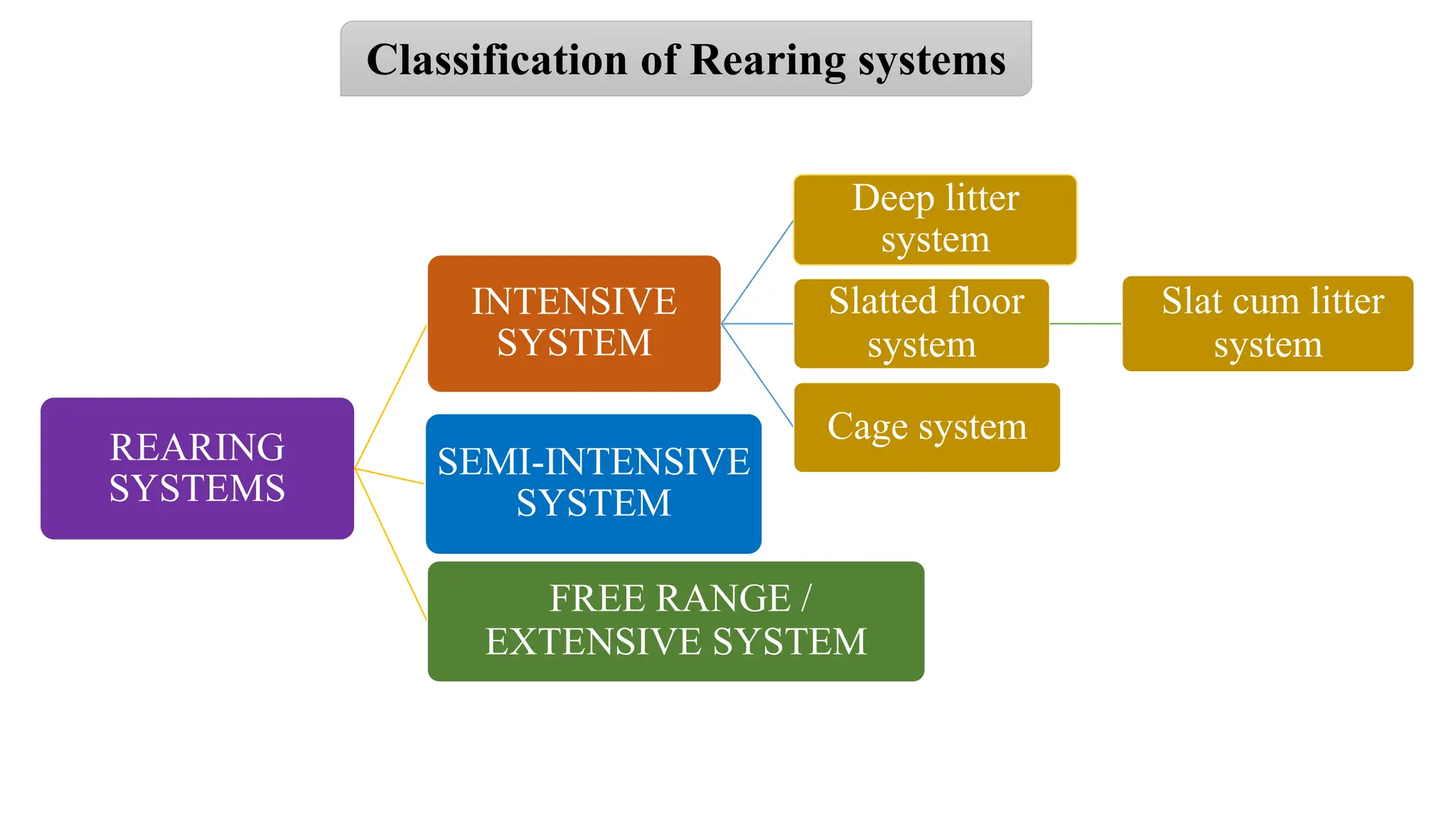 Backyard & semi intensive rearing of Poultry.pptx