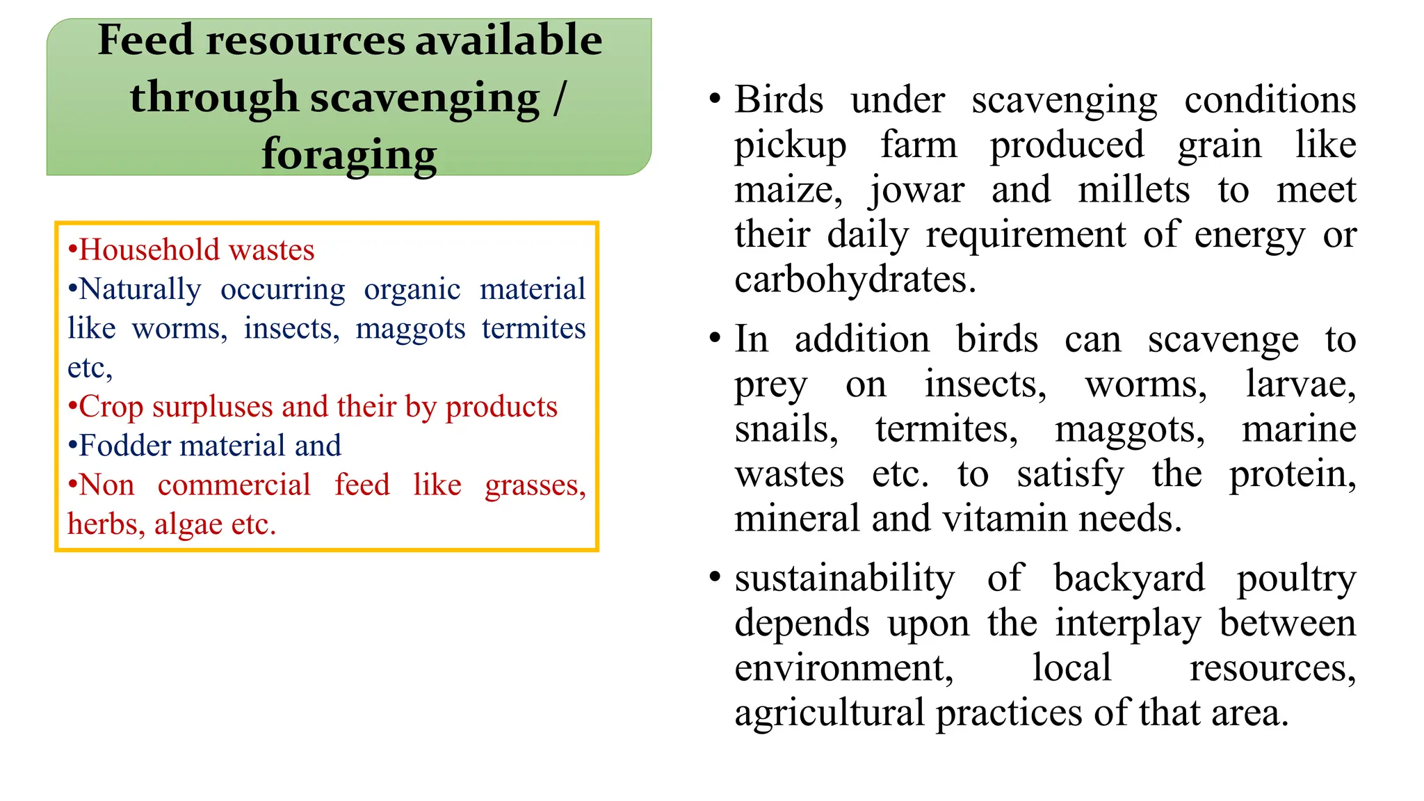 Backyard & semi intensive rearing of Poultry.pptx