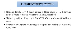 Backyard & semi intensive rearing of Poultry.pptx