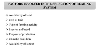 Backyard & semi intensive rearing of Poultry.pptx