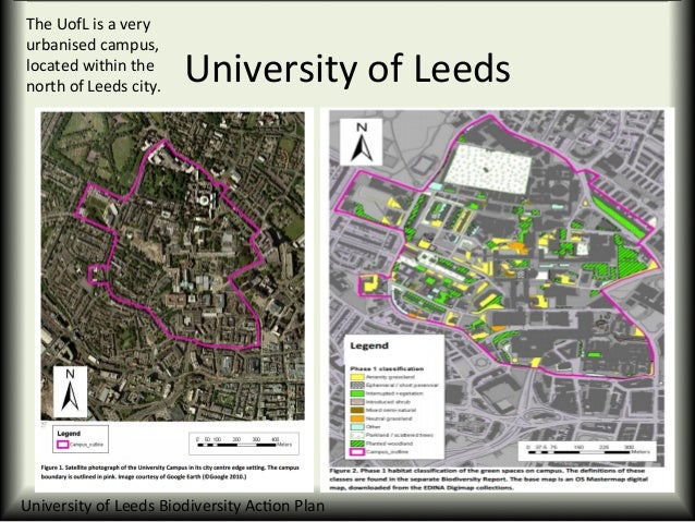 Leeds University Campus Map Leeds Tech Map Paceline