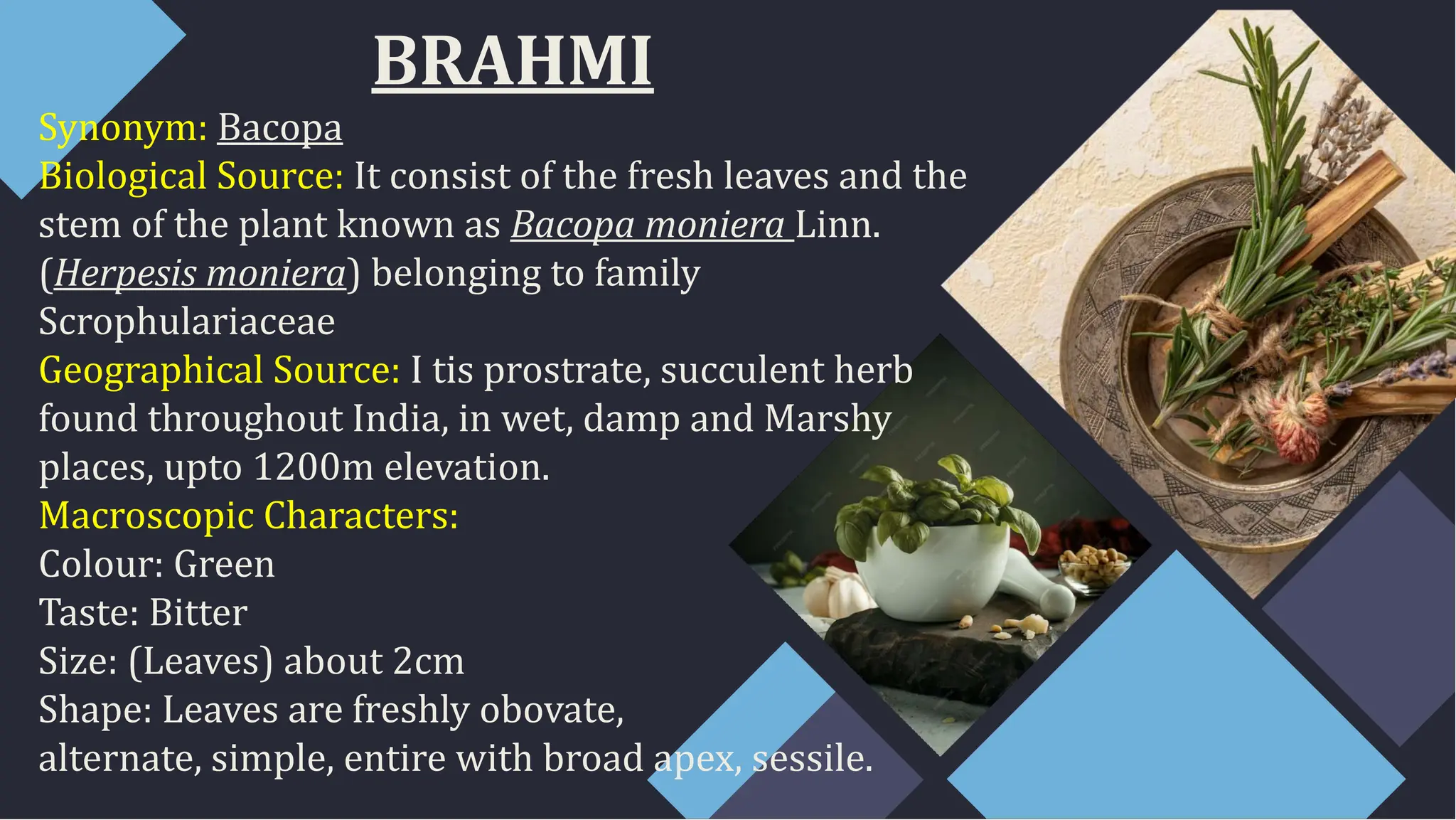 Bacoside Seminar | PPTX