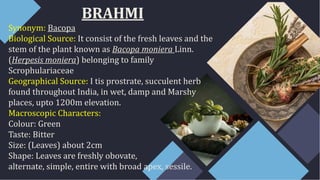 Bacoside Seminar | PPTX