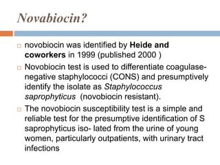 bacreriolgy mustafe.pptx