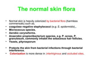 dermatology.Bact .inf 5th.(dr.ali) | PPT