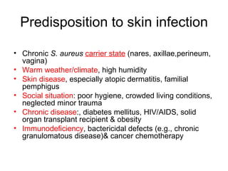 dermatology.Bact .inf 5th.(dr.ali) | PPT