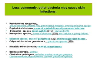 dermatology.Bact .inf 5th.(dr.ali) | PPT