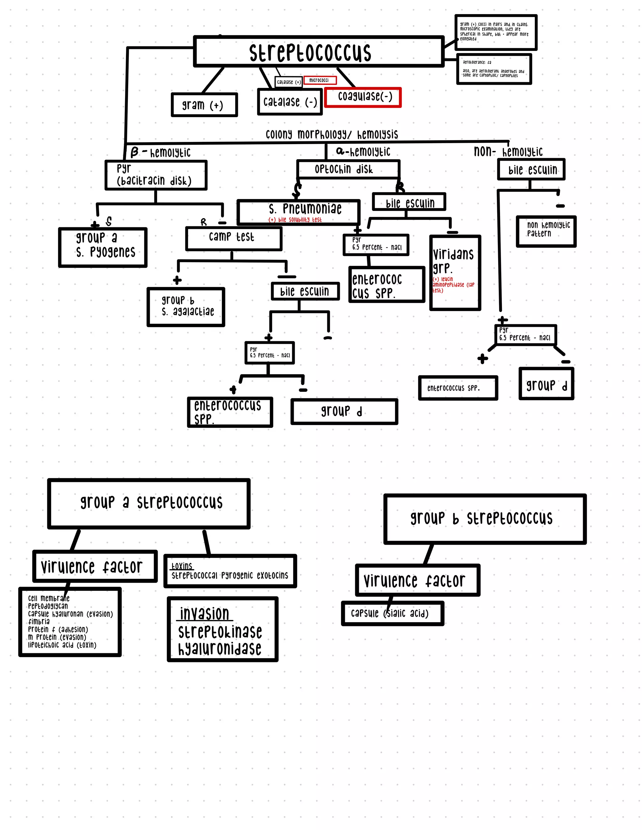 BACT-Midterms diagram.pdf