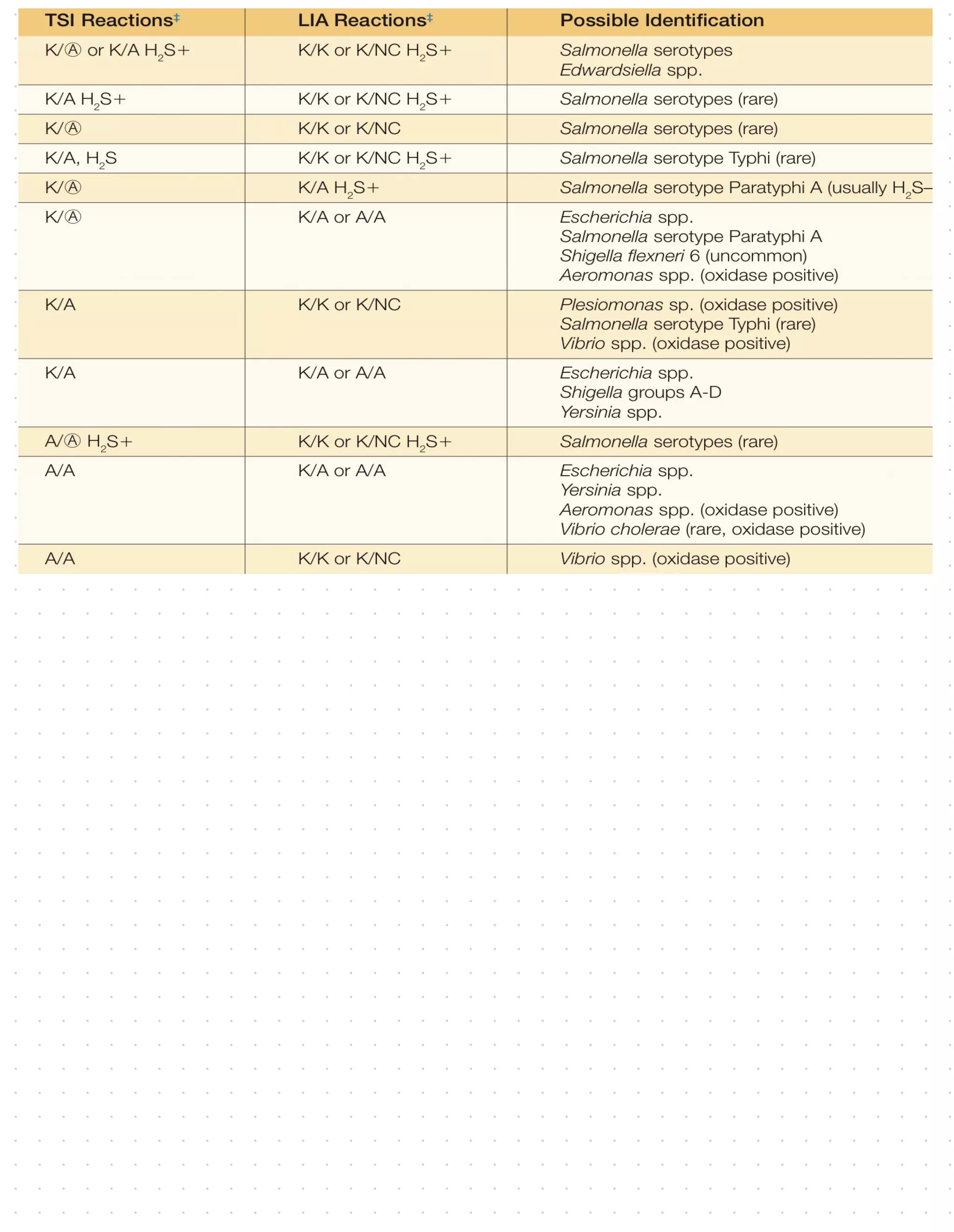 BACT-Midterms diagram.pdf