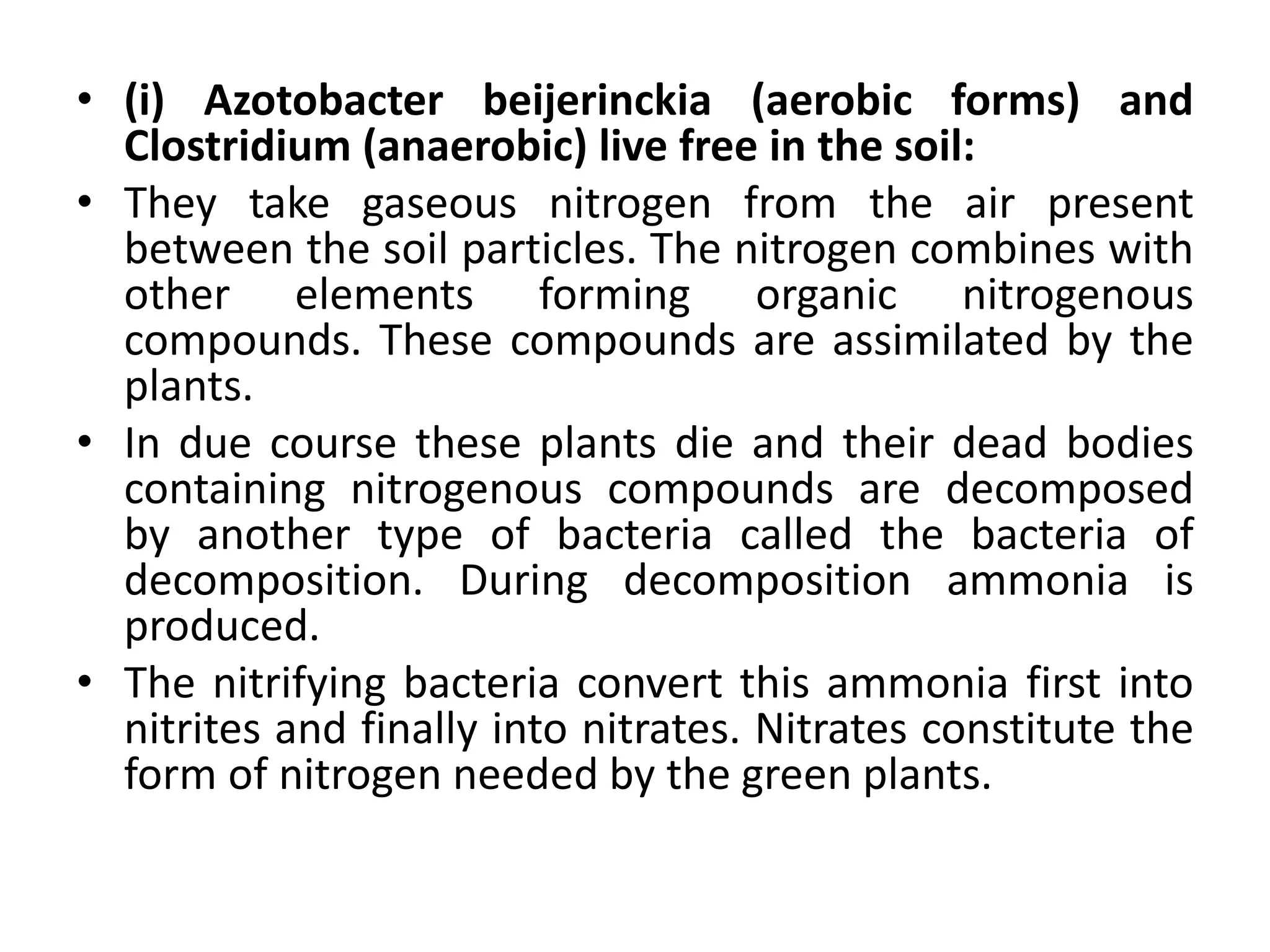 Role of bacteria in agriculture | PPTX