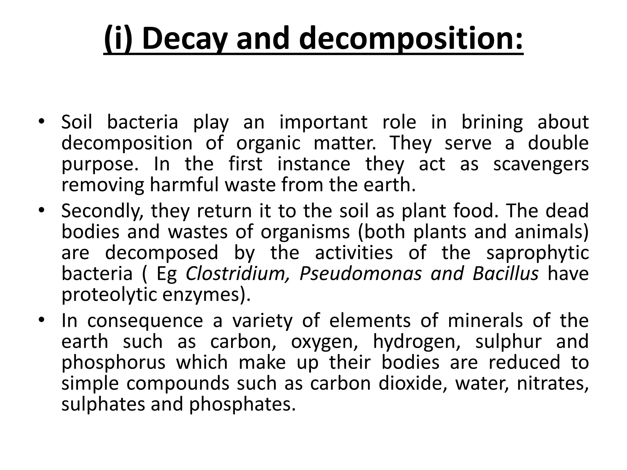 Role of bacteria in agriculture | PPTX