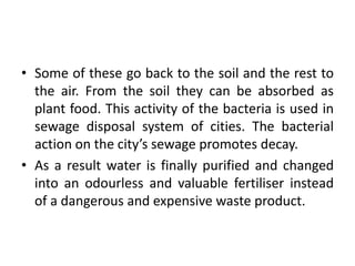 Role of bacteria in agriculture | PPTX