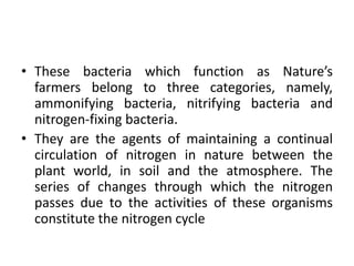 Role of bacteria in agriculture | PPTX