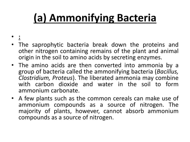 Role of bacteria in agriculture | PPTX | Agriculture | Industries