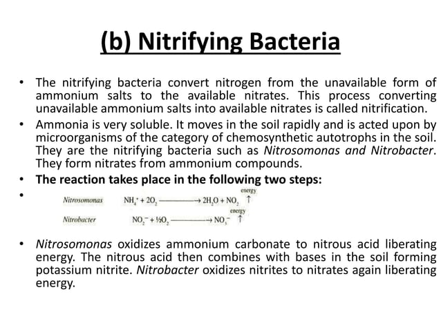 Role of bacteria in agriculture | PPTX | Agriculture | Industries