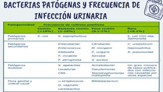 bactenuria, funguria y parasitosis .pptx