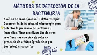 bactenuria, funguria y parasitosis .pptx